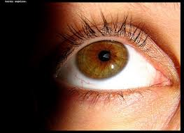 The Secret to Better Night Vision